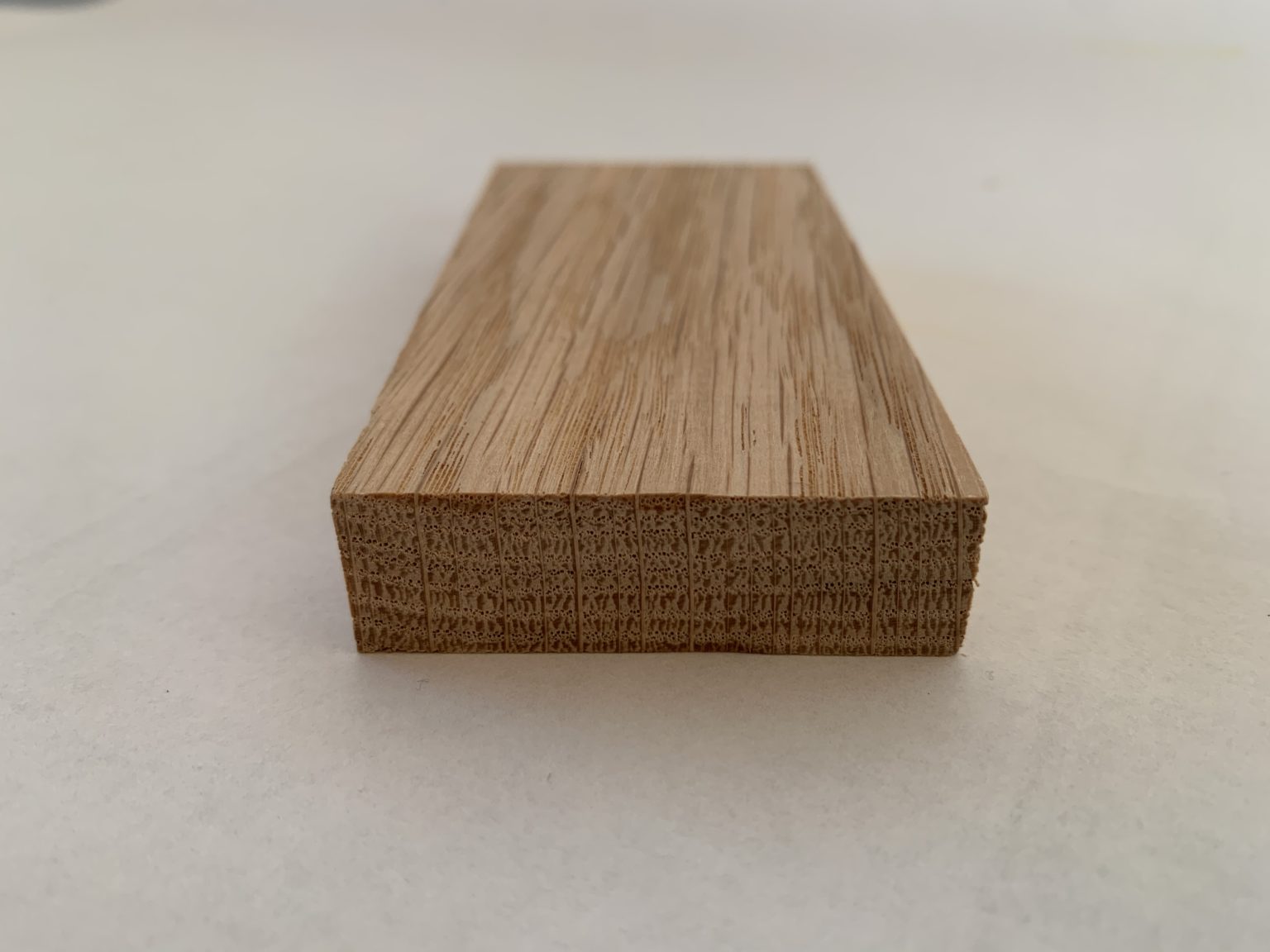 Eiche – baumkunde.at