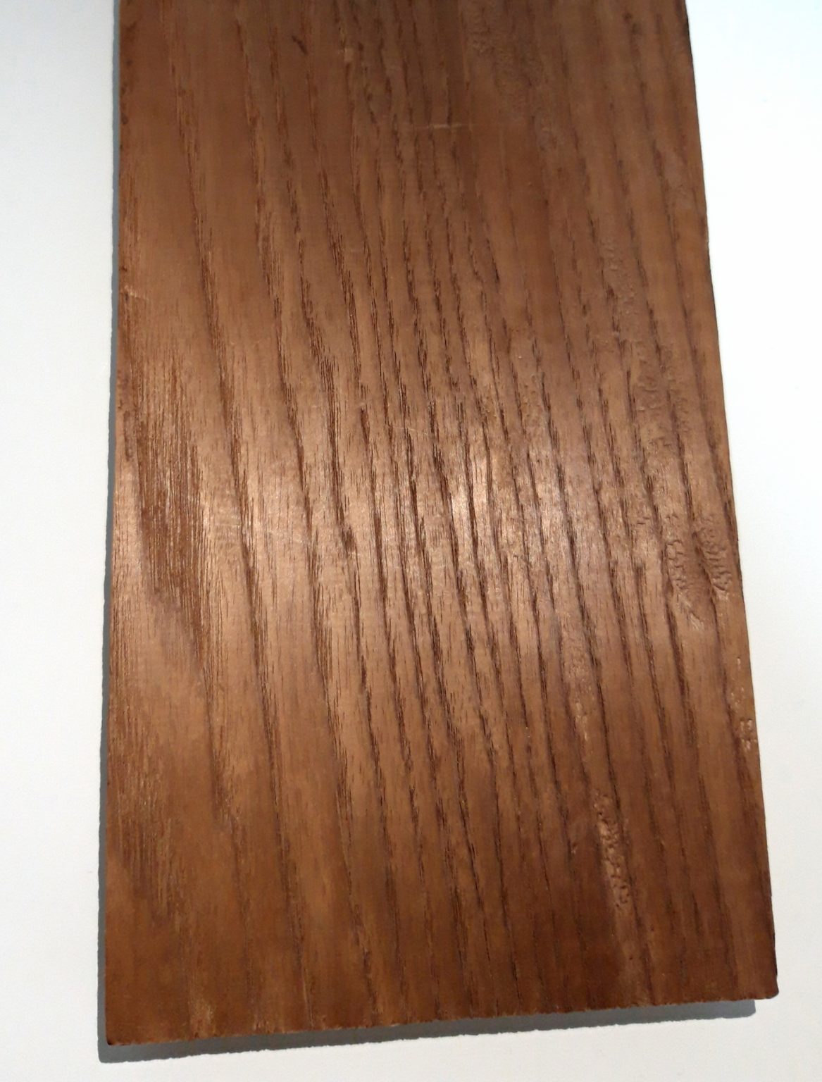 Nuss-Holzstück – baumkunde.at