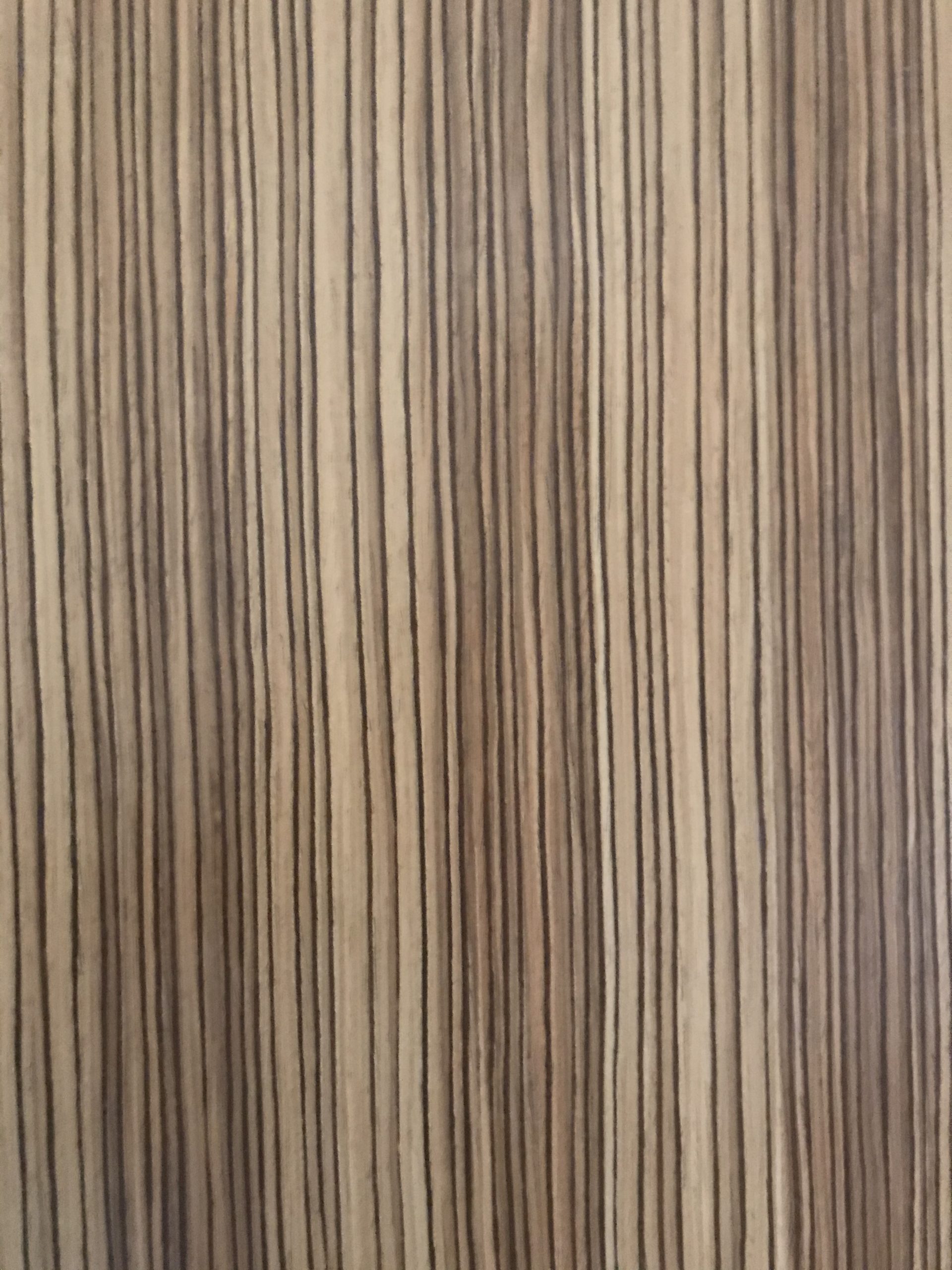 Tropenhölzer – baumkunde.at