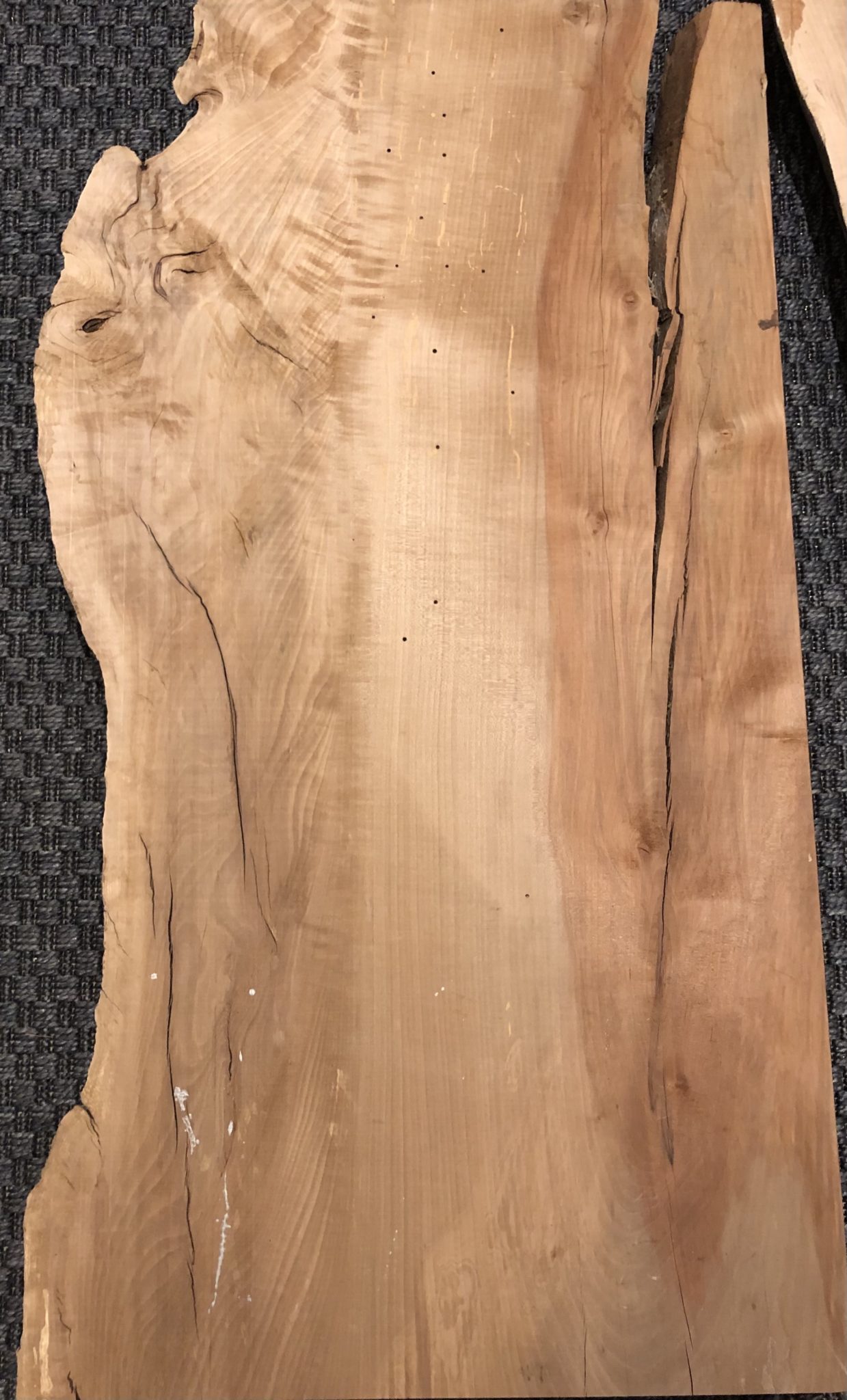 Apfelbaum (malus domestica) Schnittholz – baumkunde.at