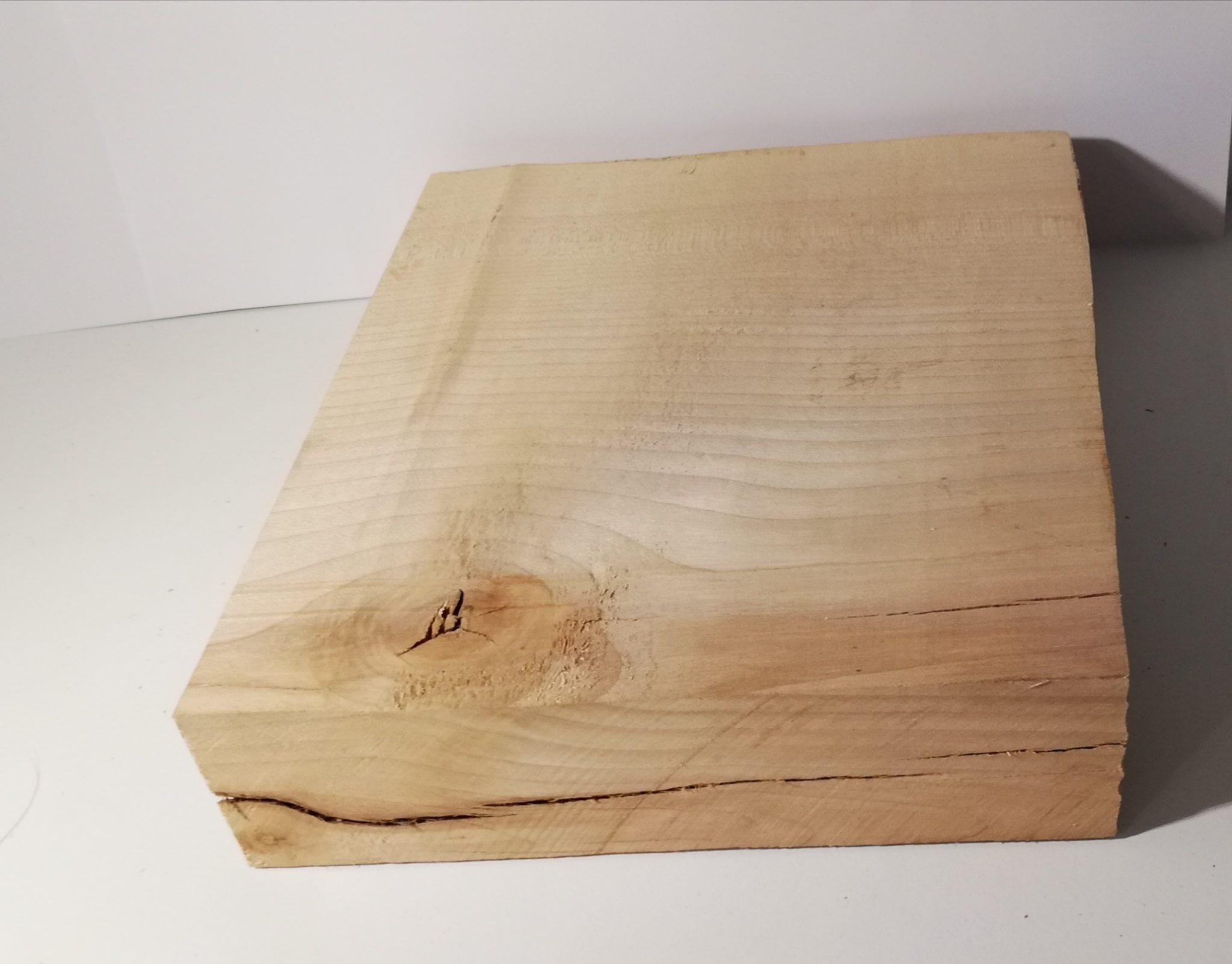 Rotbuche – baumkunde.at