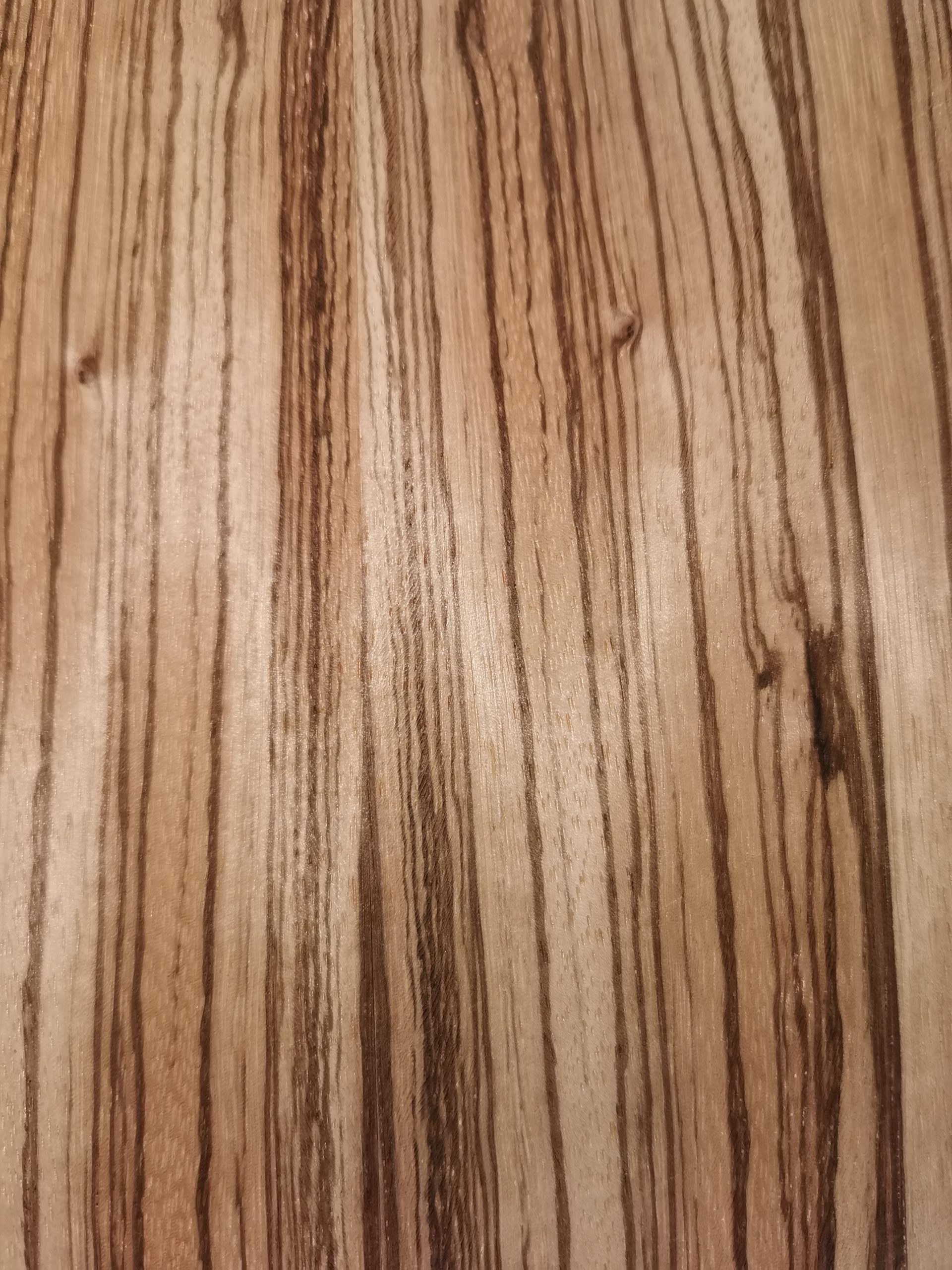 Zebrano – baumkunde.at